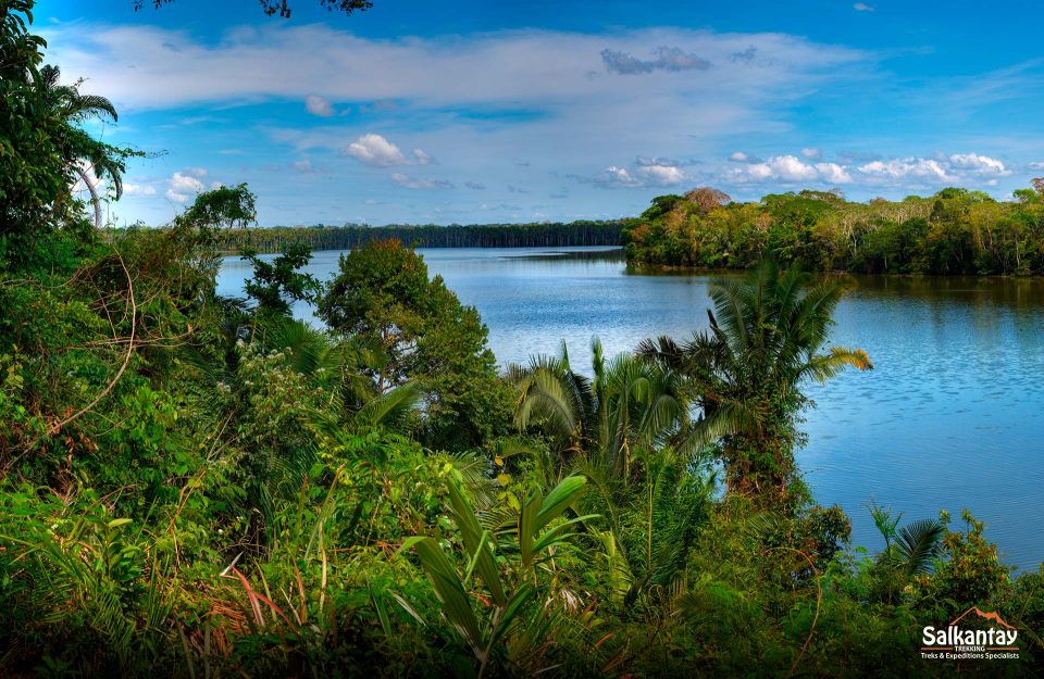 El encanto de los Bosques en Perú: Paisajes y Biodiversidad en la ...
